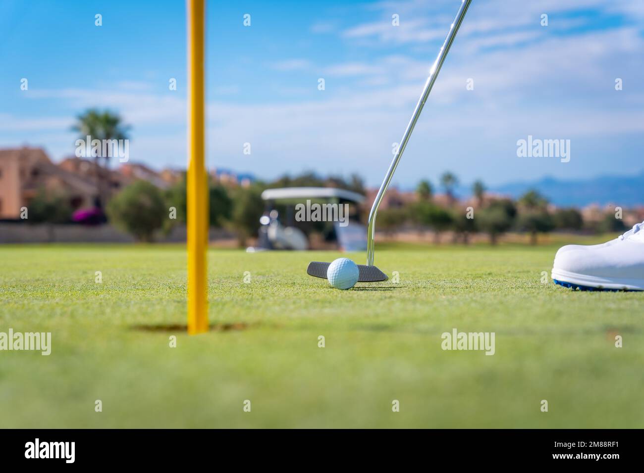 Man playing golf, hitting the ball on the green with the putter Stock ...
