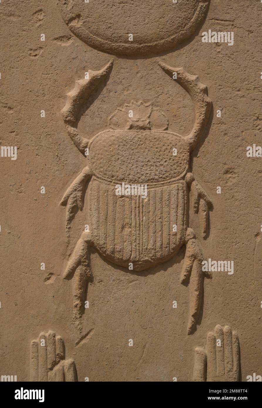 Scarab, Karnak Temple, Karnak, Egypt, Africa Stock Photo - Alamy