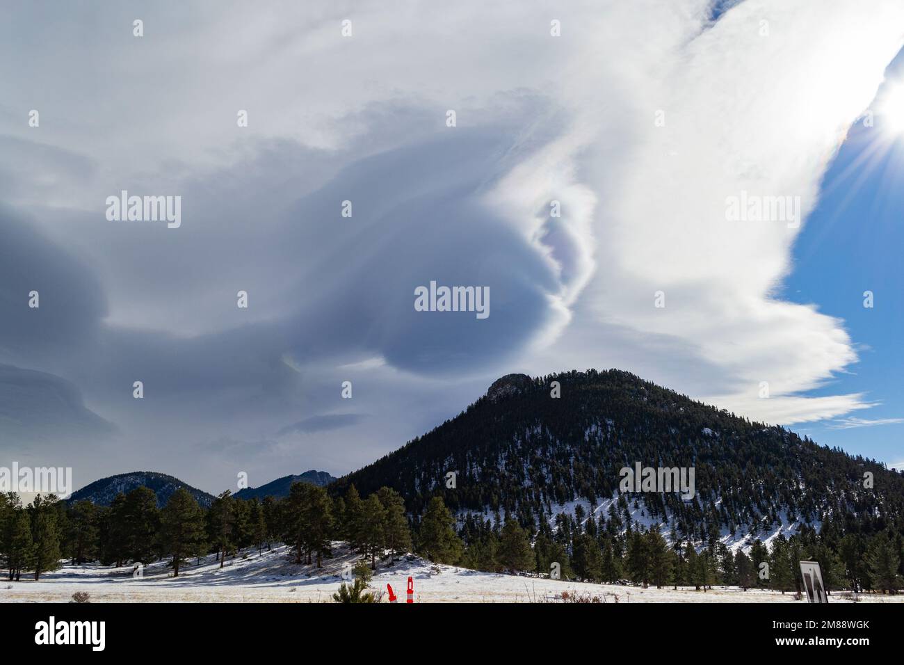 Psuedo hi-res stock photography and images - Alamy