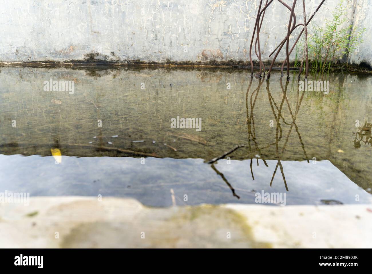 Standing water in abandoned buildings landscape close up Stock Photo ...