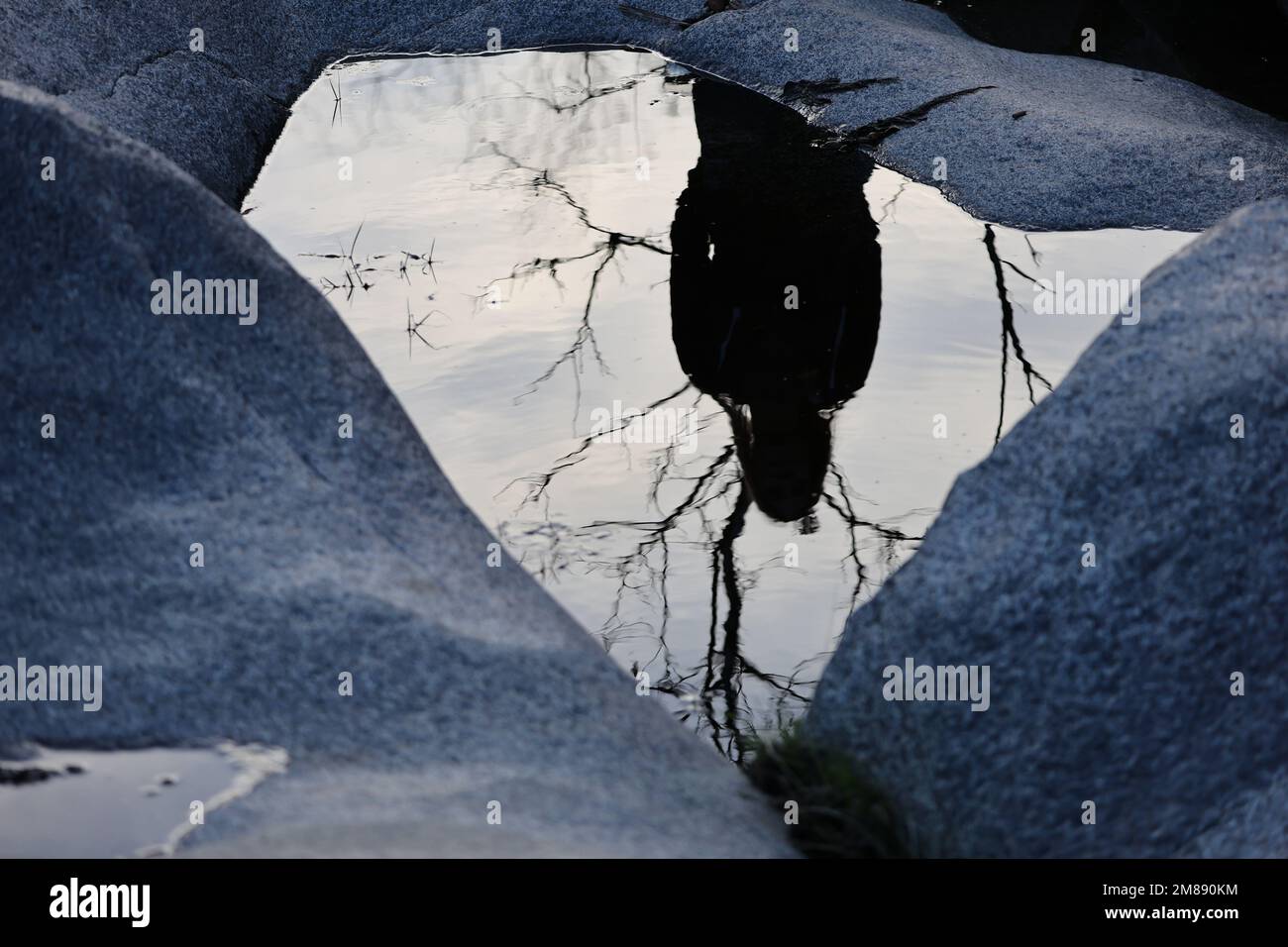 person in water reflection Stock Photo - Alamy