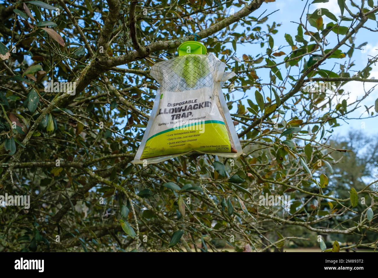 NEW ORLEANS, LA, USA - JANUARY 11, 2023: Disposable Yellowjacket trap ...