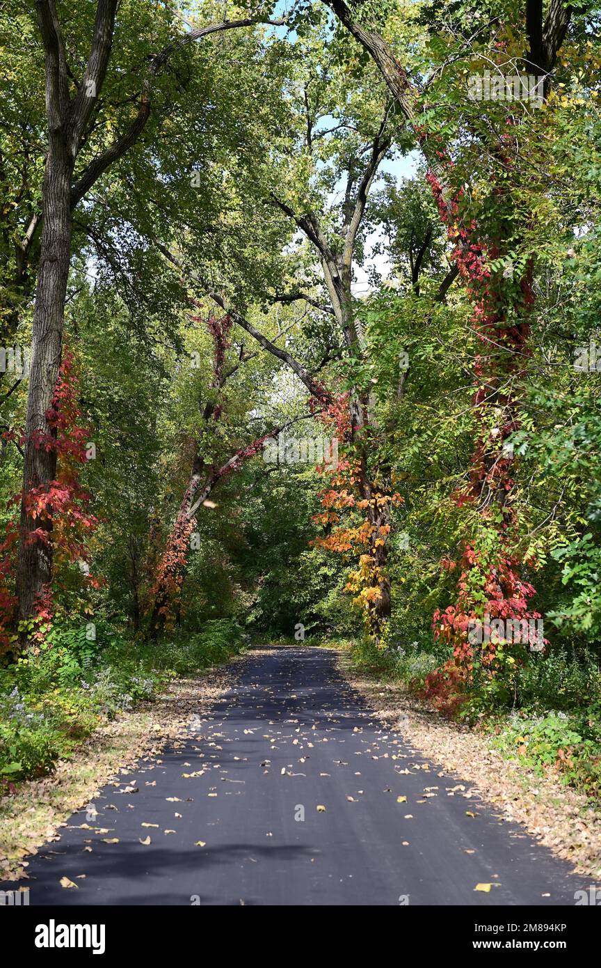 Wayne, Illinois, USA. The beauty and color of the autumn season ...