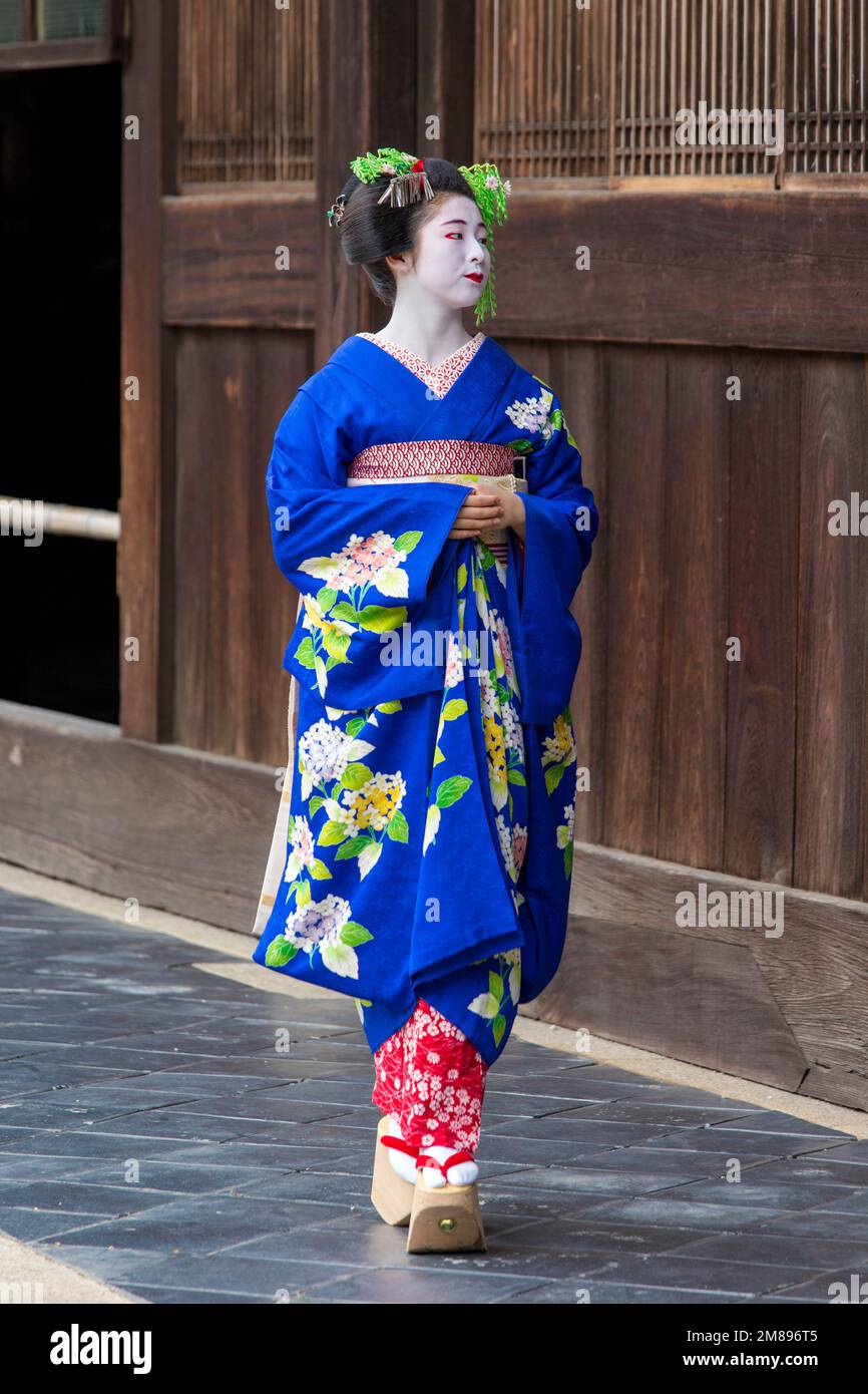 A maiko and geisha shoot at Manpakuji Temple, Kyoto Stock Photo - Alamy