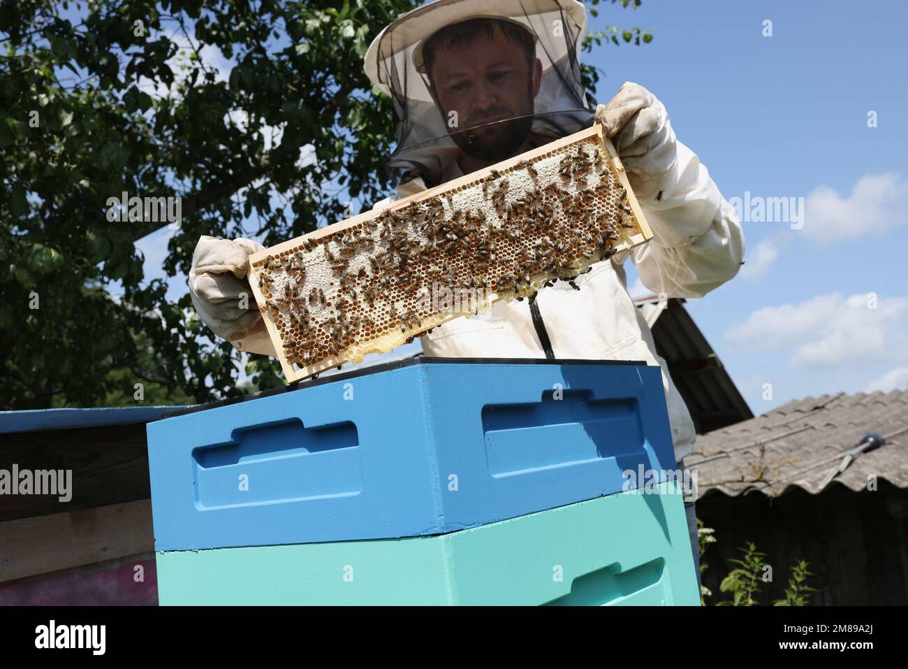 Bee keeper in uniform hi-res stock photography and images - Alamy