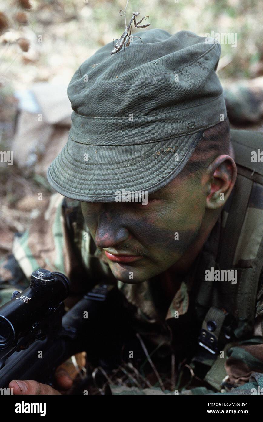A U.S. Army Ranger from the 1ST Regiment, 17th Cavalry Brigade, aims an ...
