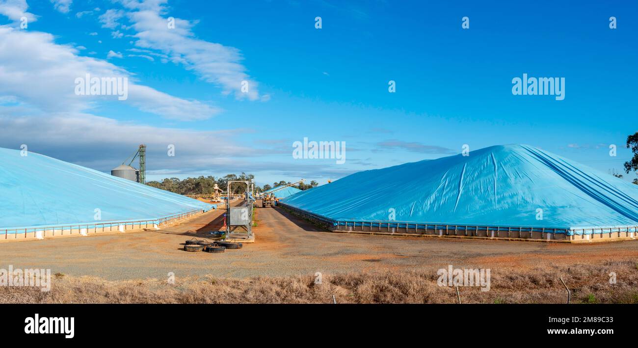 Large plastic-covered Graincorp grain or wheat bunkers, close to the ...