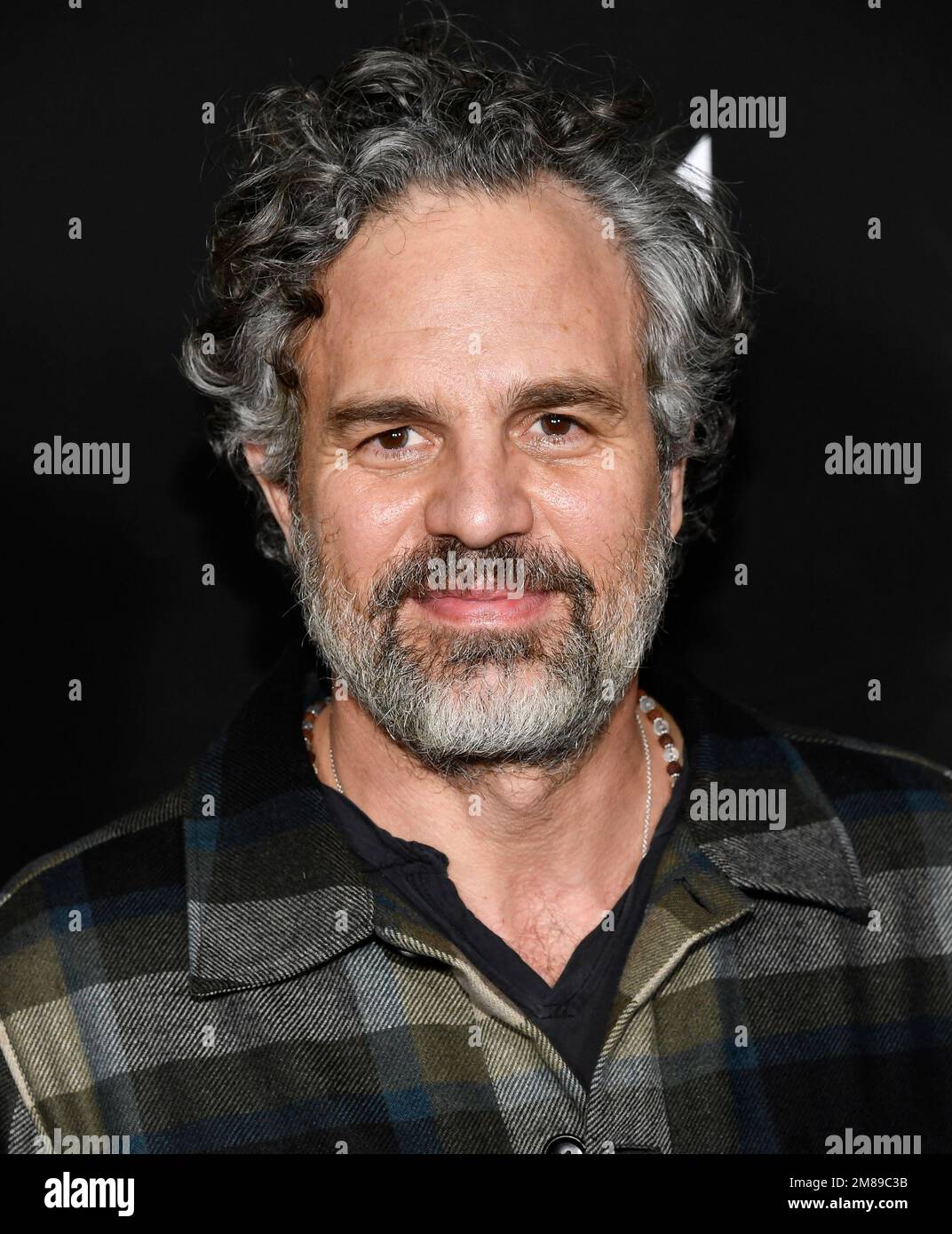 Mark Ruffalo attends a special screening of "When You Finish Saving the ...