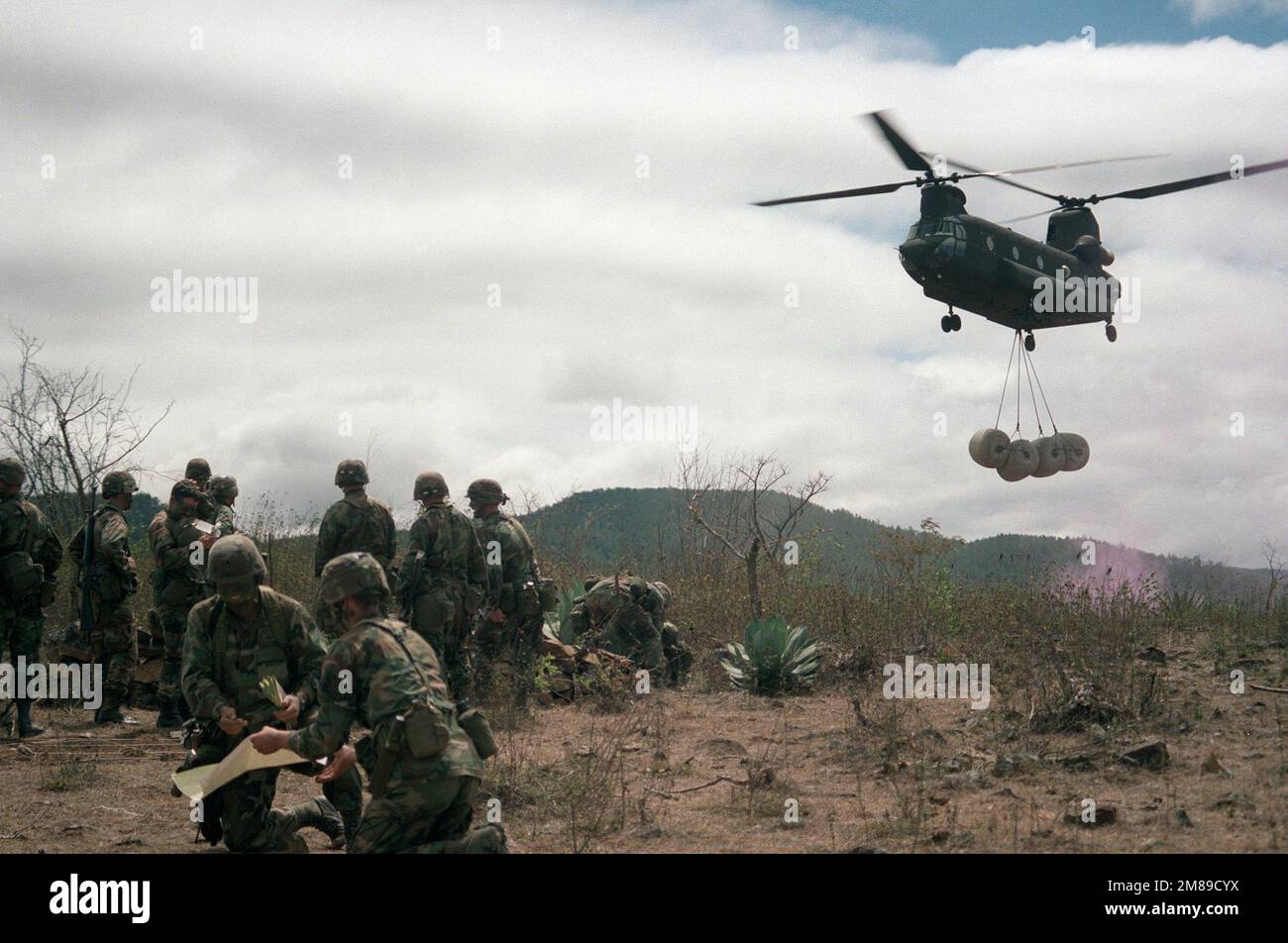 DA-SC-89-11594. Subject Operation/Series: GOLDEN PHEASANT Base: Tamara ...