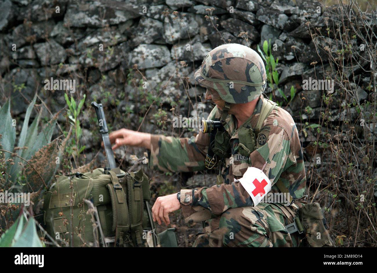 DA-SC-89-11606. Subject Operation/Series: GOLDEN PHEASANT Base: Tamara ...