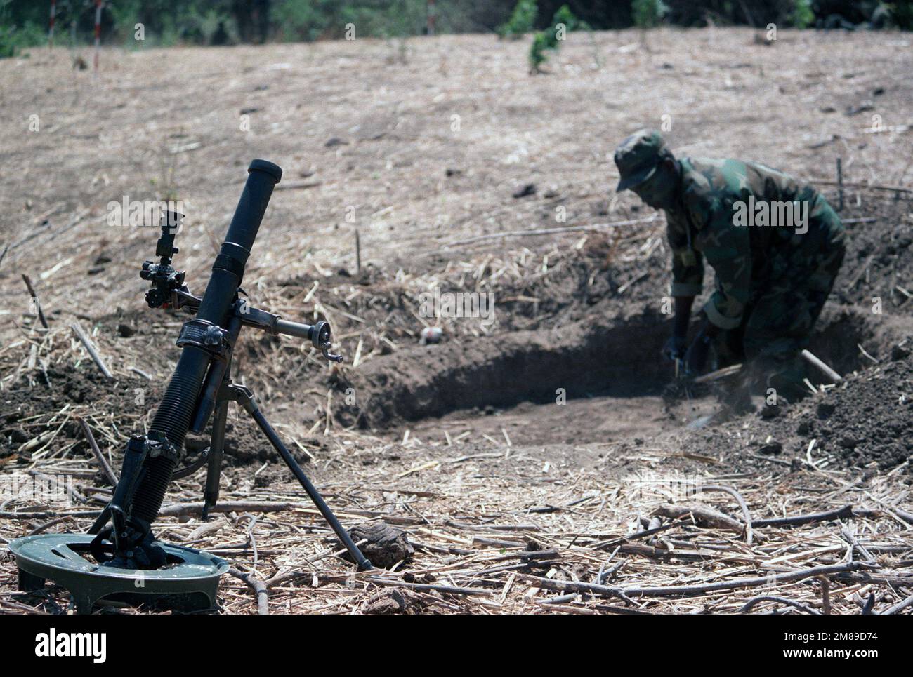 DA-SC-89-11615. Subject Operation/Series: GOLDEN PHEASANT Base: Tamara ...