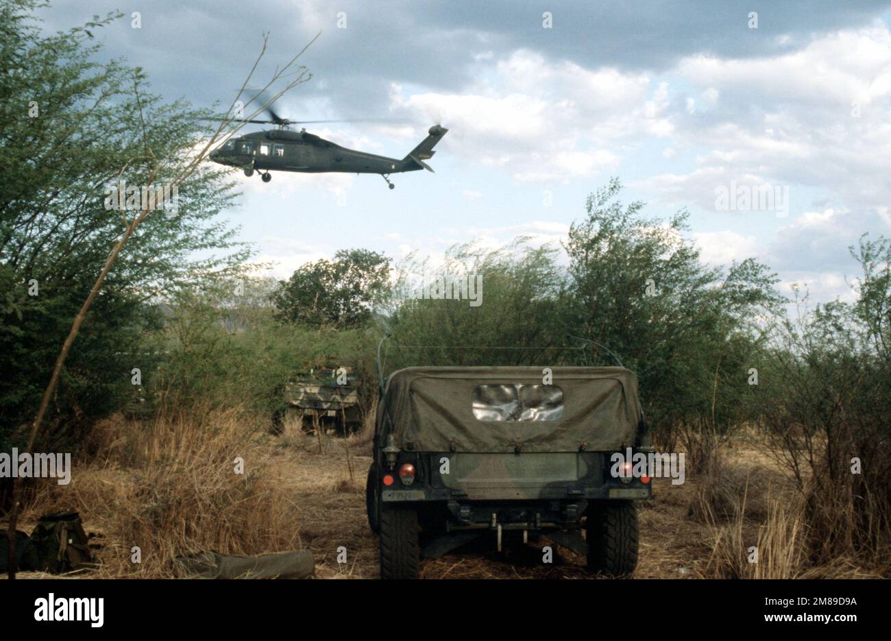 1bn 75th Ranger Regt In Operation Golden Pheasant