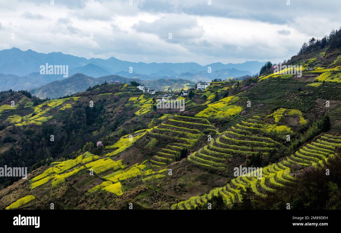 So dragon pond hi-res stock photography and images - Alamy