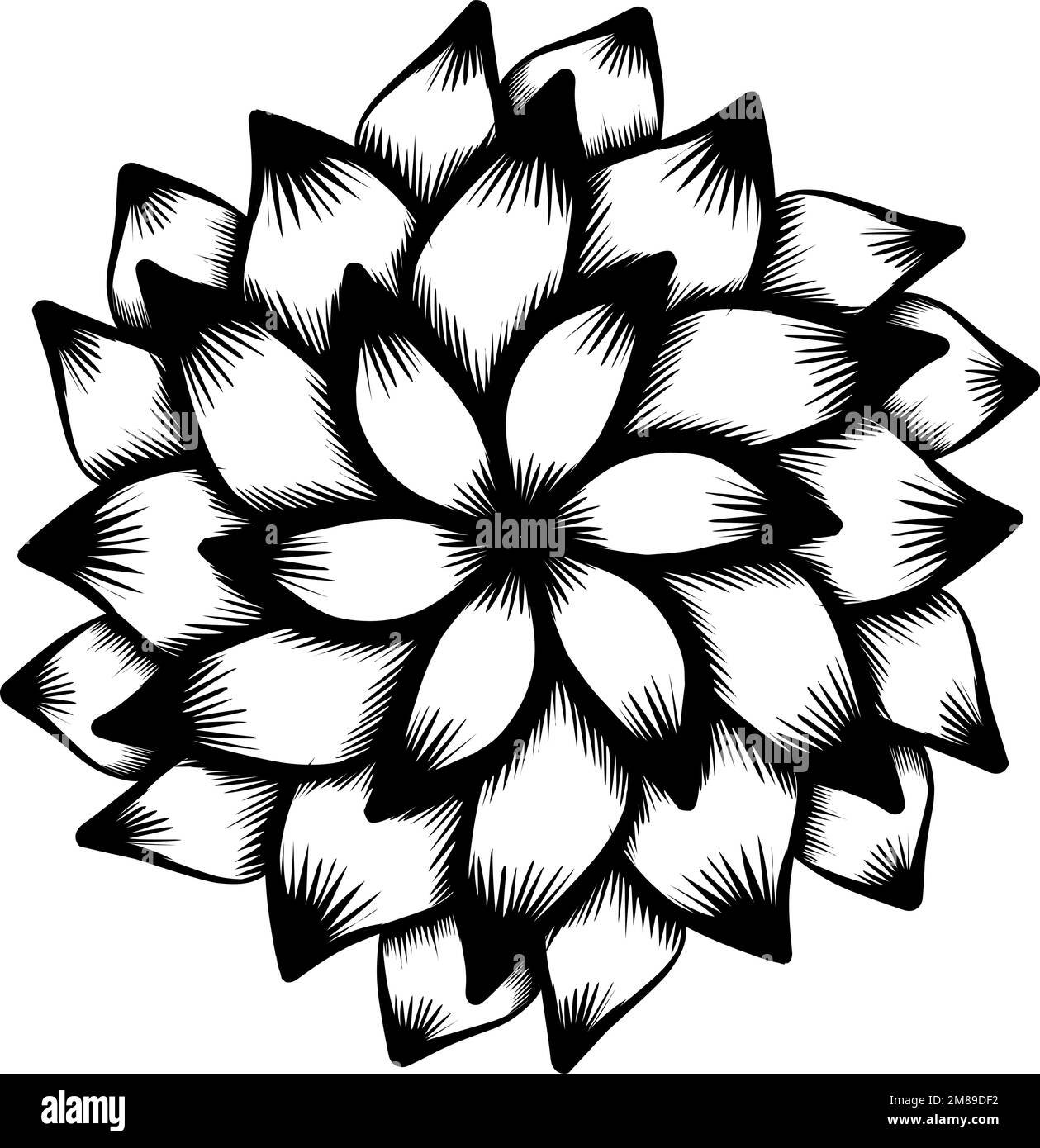 Design graphic of Botanical circle frame. Hand drawn round line border ...