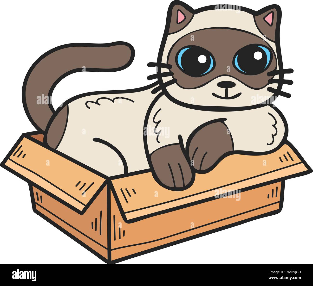 Hand Drawn cat in box illustration in doodle style isolated on ...