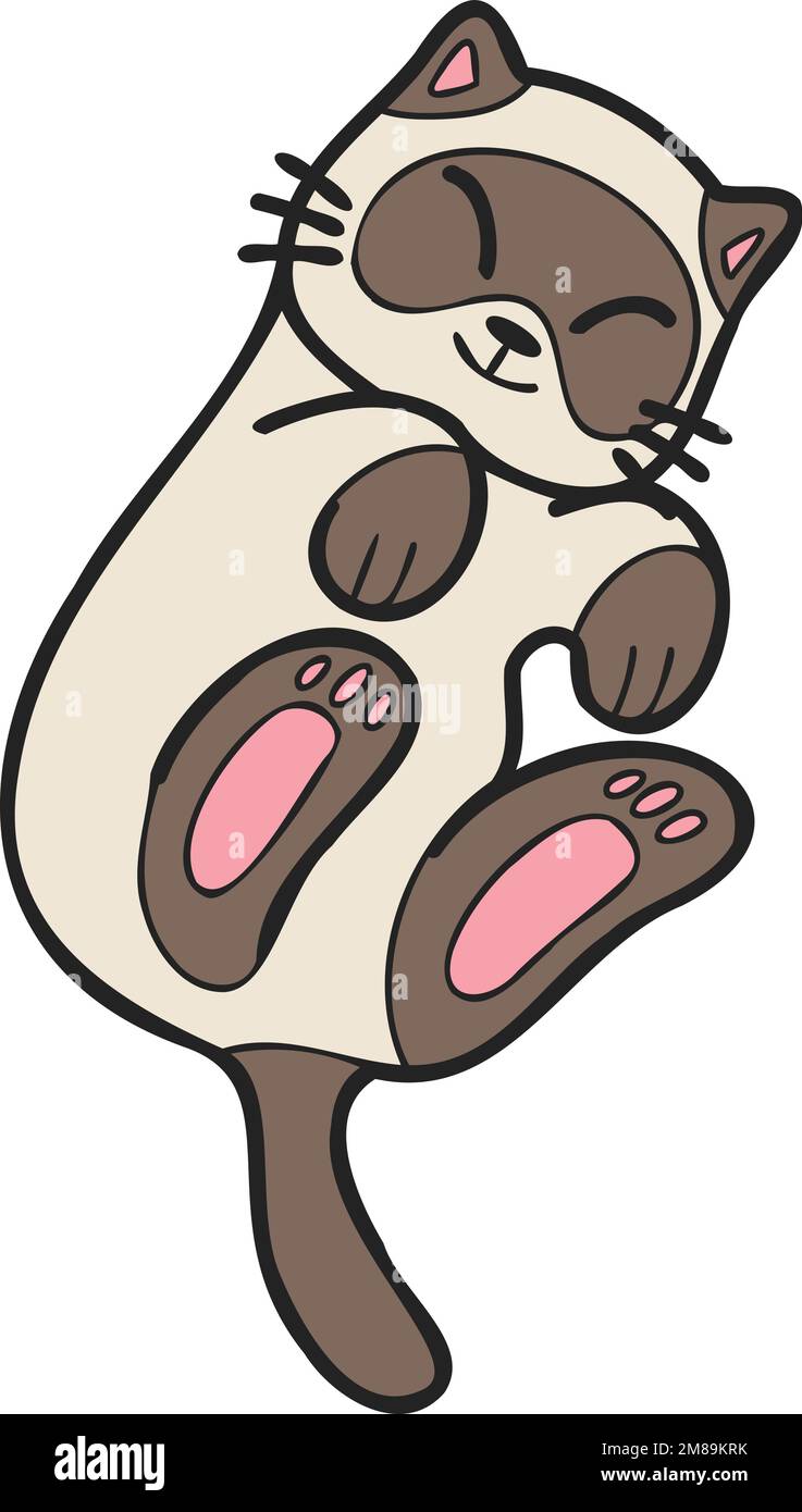 Hand Drawn Sleeping cat showing belly illustration in doodle style ...