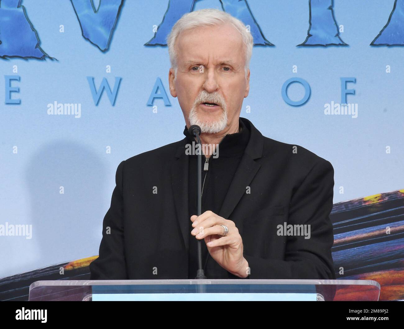 James Cameron at the Jon Landau and James Cameron Hand & Footprint ...