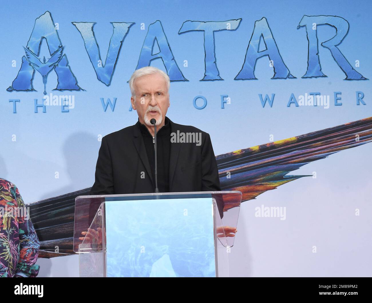 Los Angeles, USA. 12th Jan, 2023. James Cameron at the Jon Landau and ...