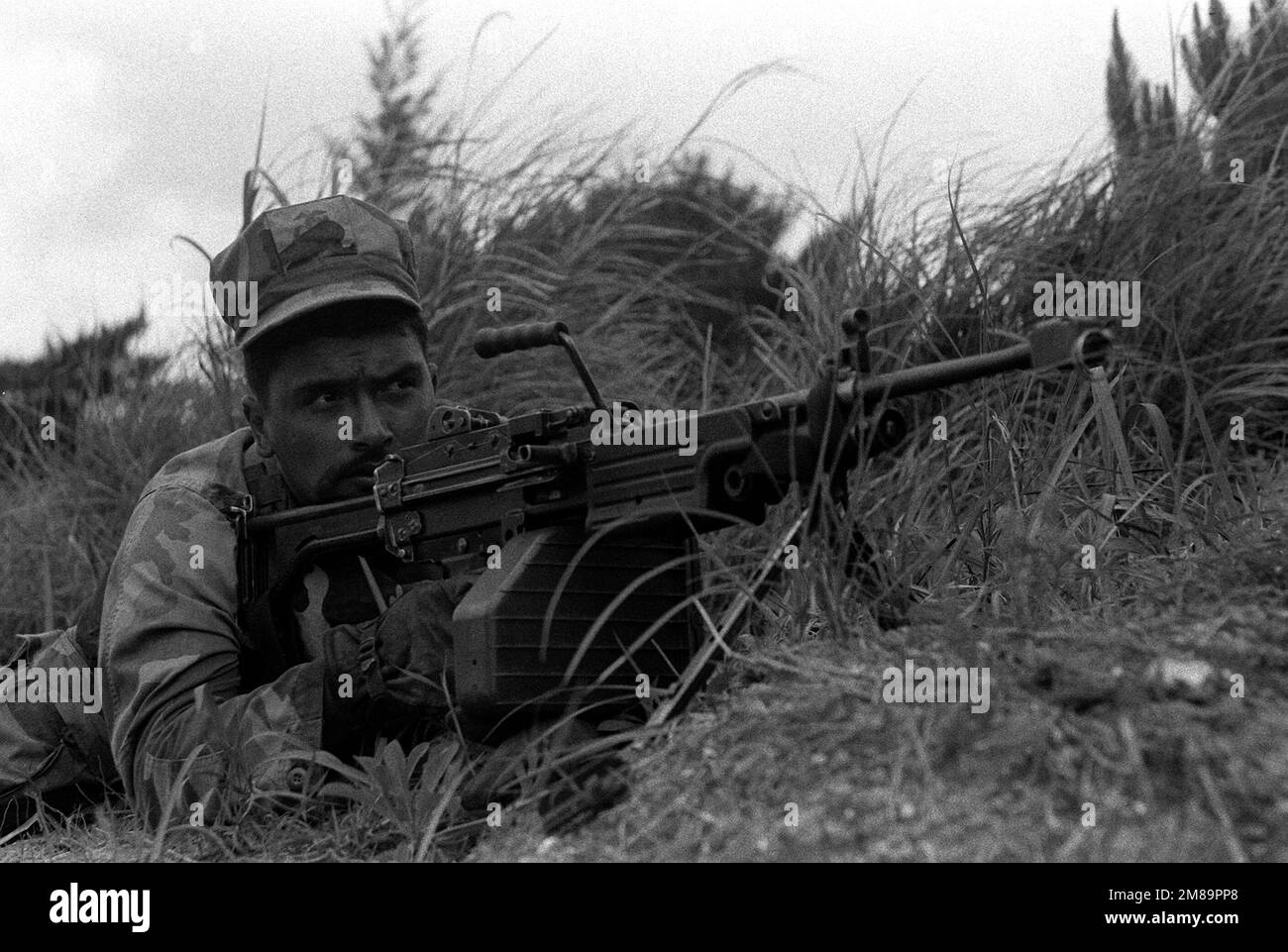 A member of Co. L, 3rd Bn., 5th Marines, aims his M-249 squad automatic ...