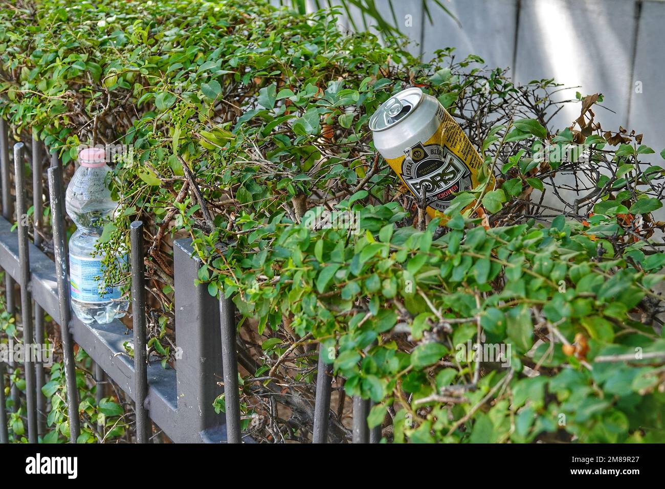 An empty can of Forst beer and an empty mineral water bottle on a hedge ...