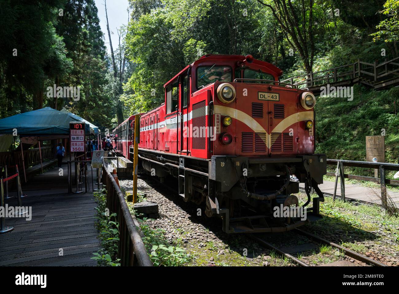 Taiwan alishan little train Stock Photo - Alamy