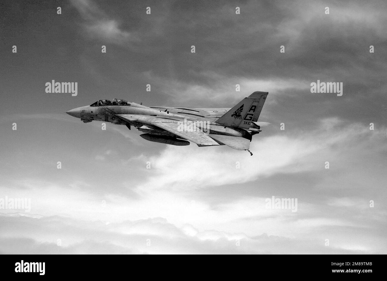 An air-to-air left side view of an F-14A Tomcat aircraft from Fighter ...