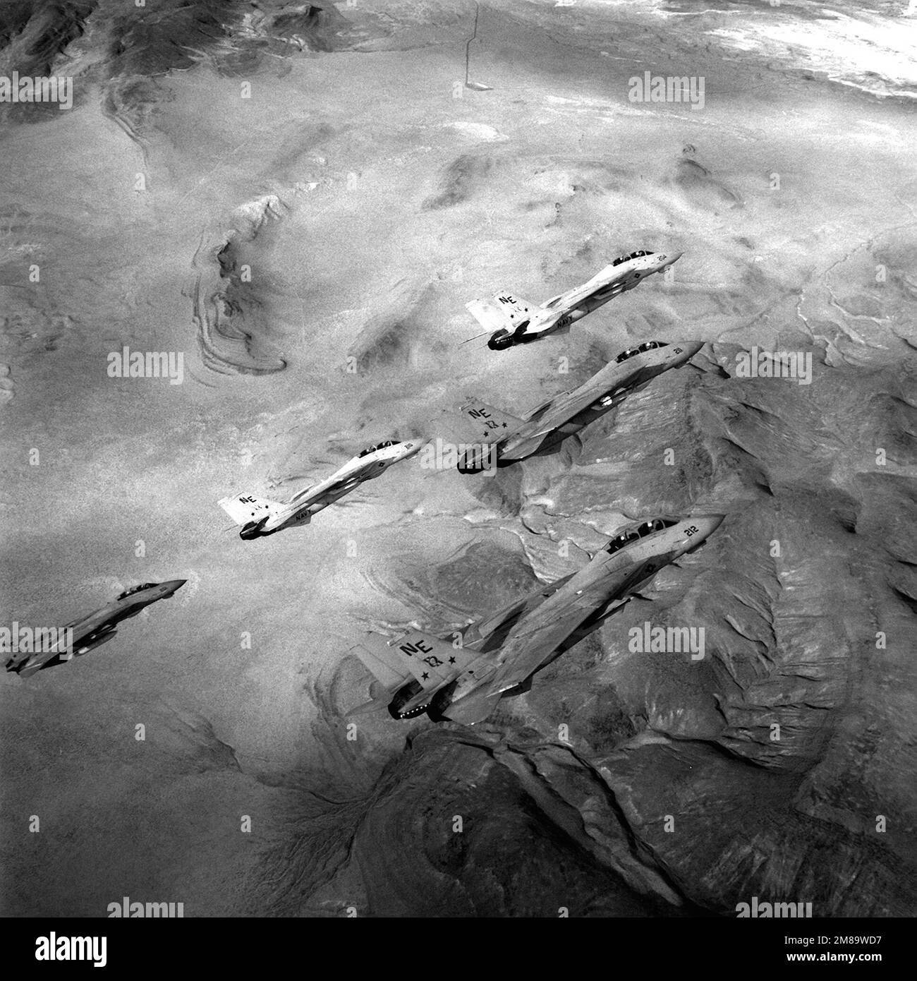 An air-to-air right side view of five F-14A Tomcat aircraft of Fighter ...