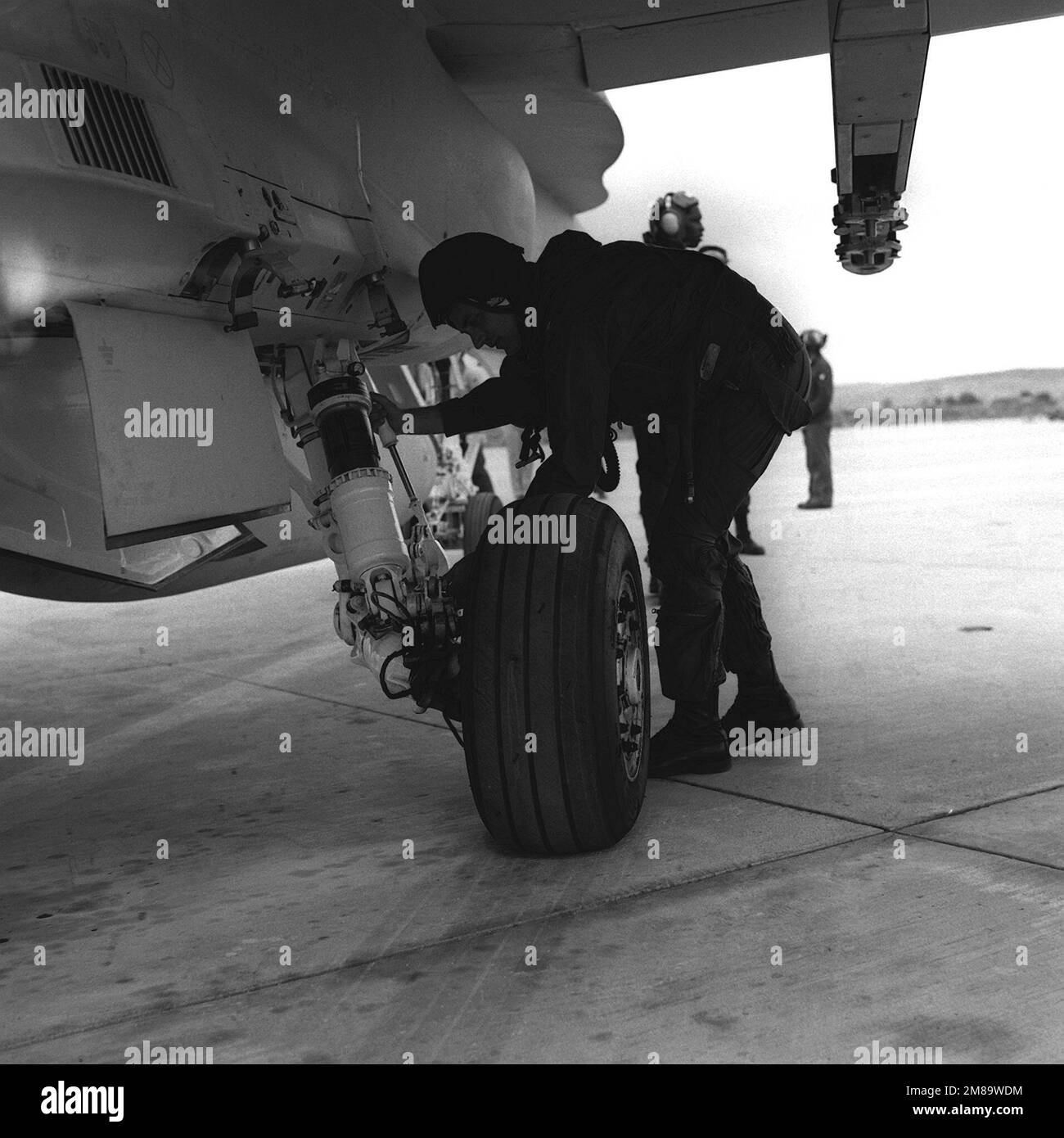 CPT Jay L. Johnson, commander, Carrier Air Wing 1 (CVW-1), checks out ...
