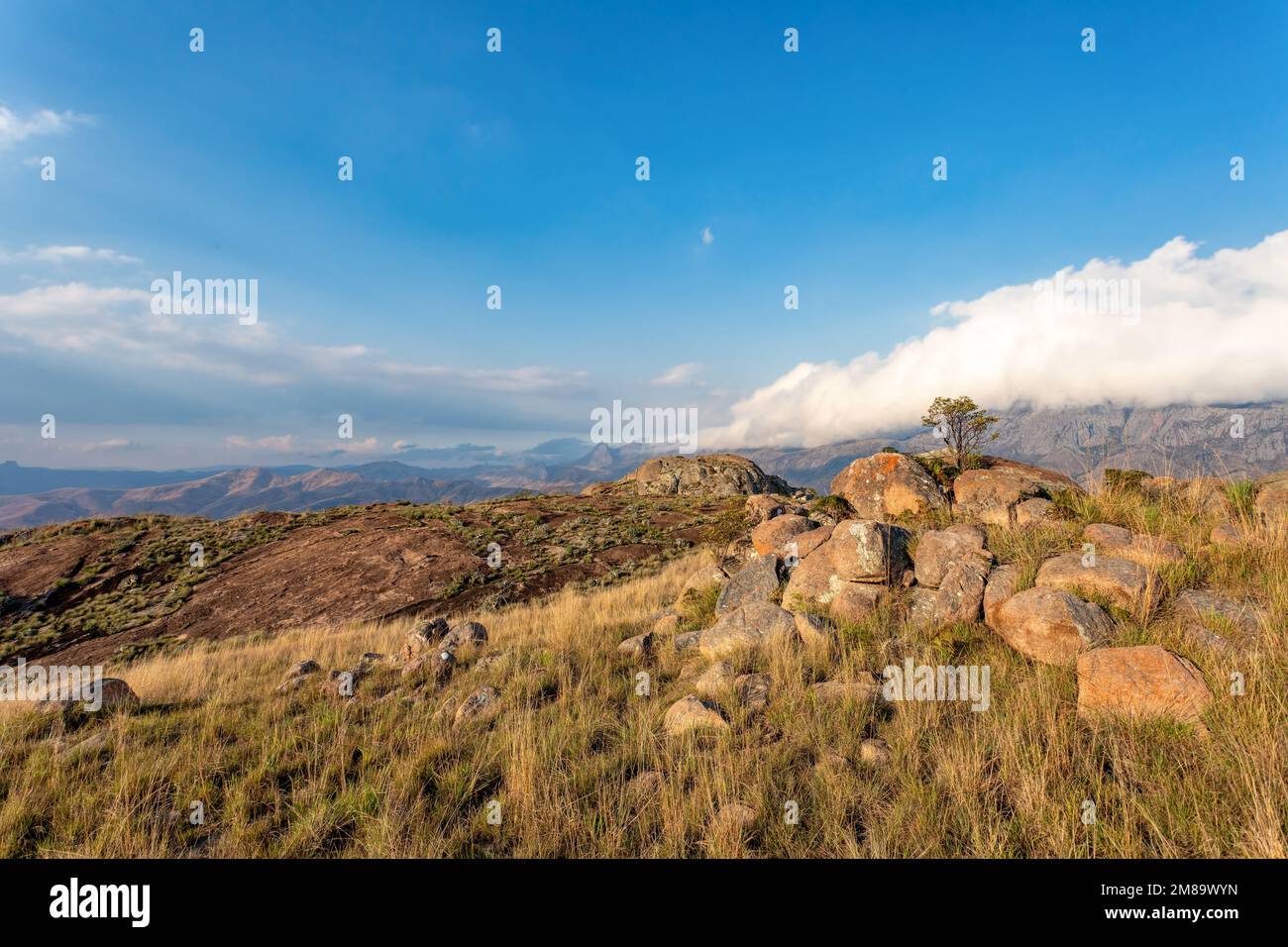 Andringitra national park, Haute Matsiatra region, Madagascar ...