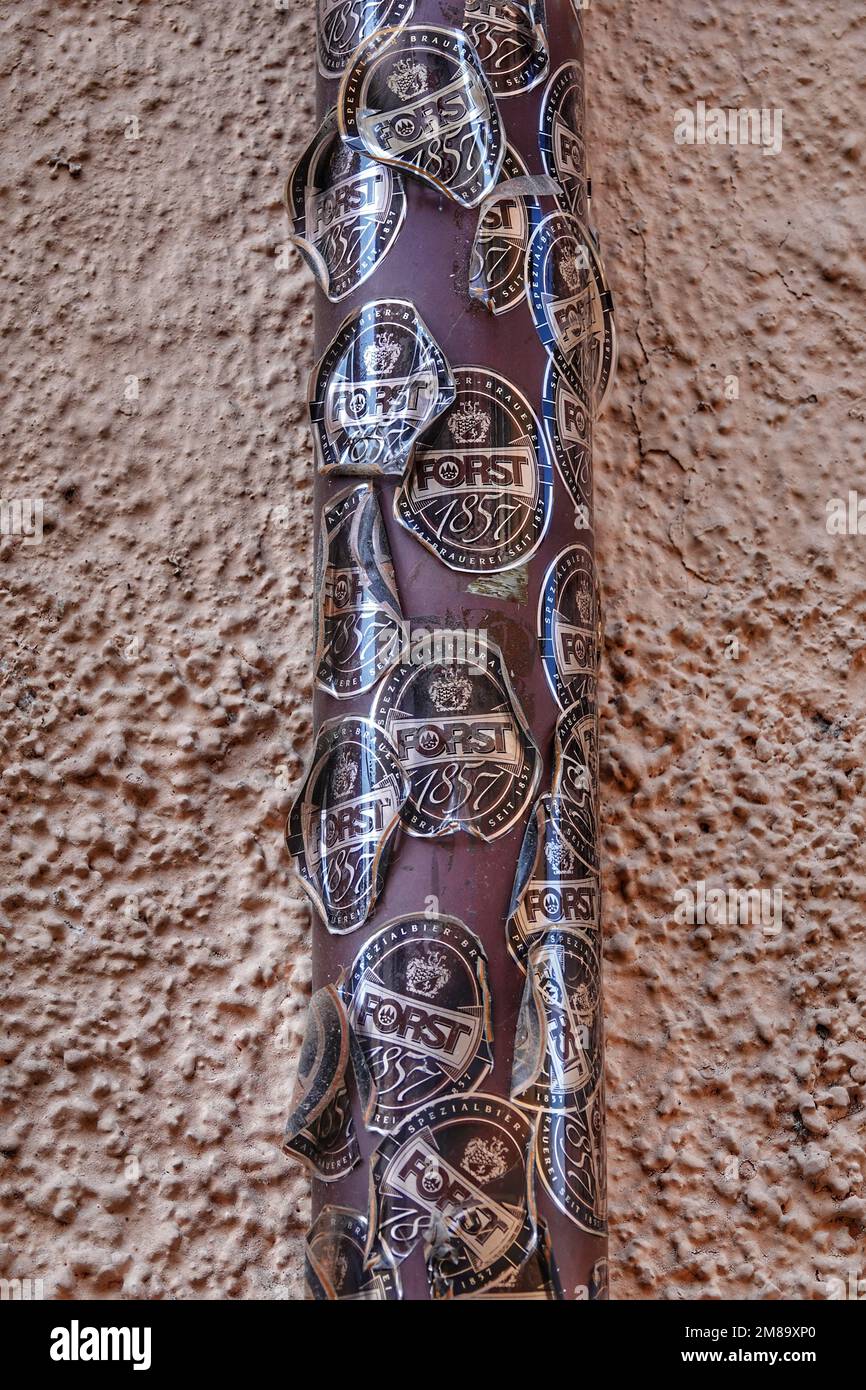 A vertical shot of a rainwater pipe on a house wall, covered with Forst ...