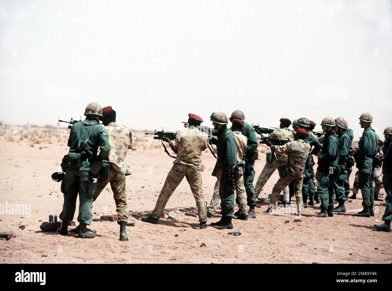 U.S. Army soldiers instruct their Egyptian Army counterparts who are ...