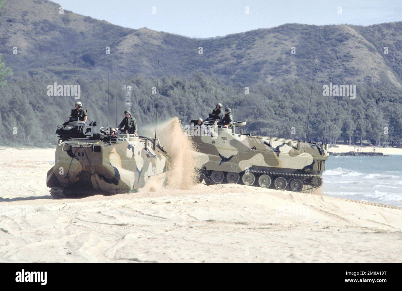 Two AAVP-7 assault amphibian vehicles (AAVs) churn up a sand as they ...