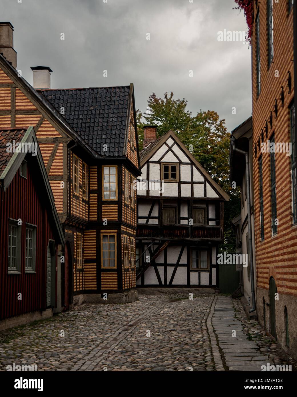 A vertical shot of the Norwegian Museum of Cultural History in Oslo ...