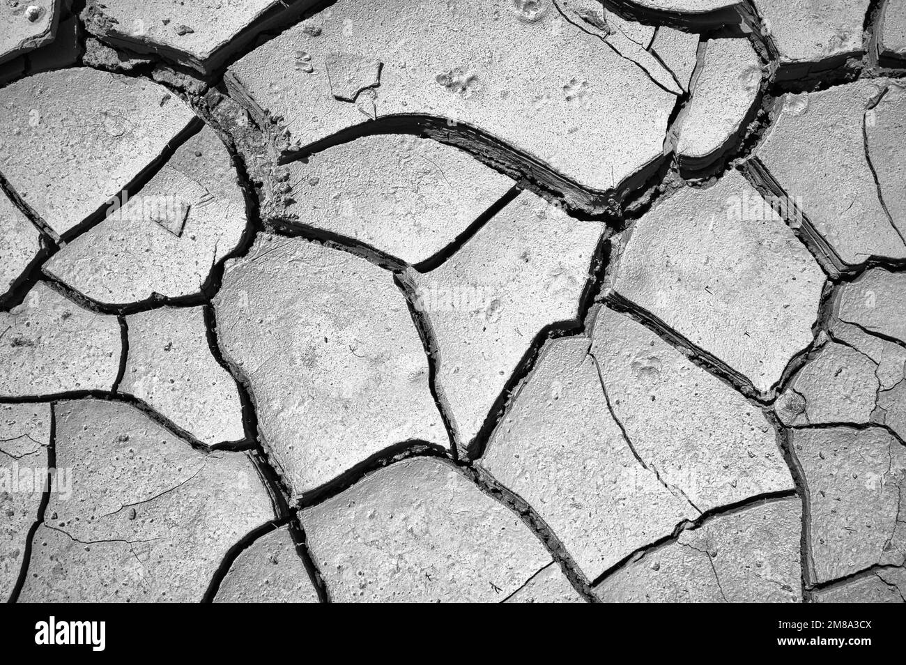 Cracked ground Black and White Stock Photos & Images - Alamy
