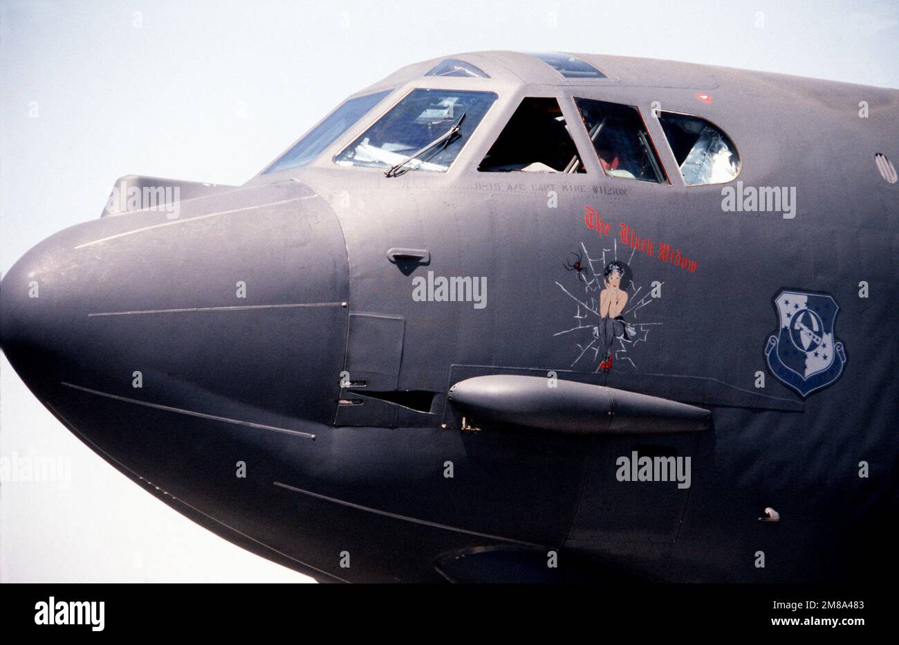 A view of nose art entitled "The Black Widow" on a 410th Bombardment ...