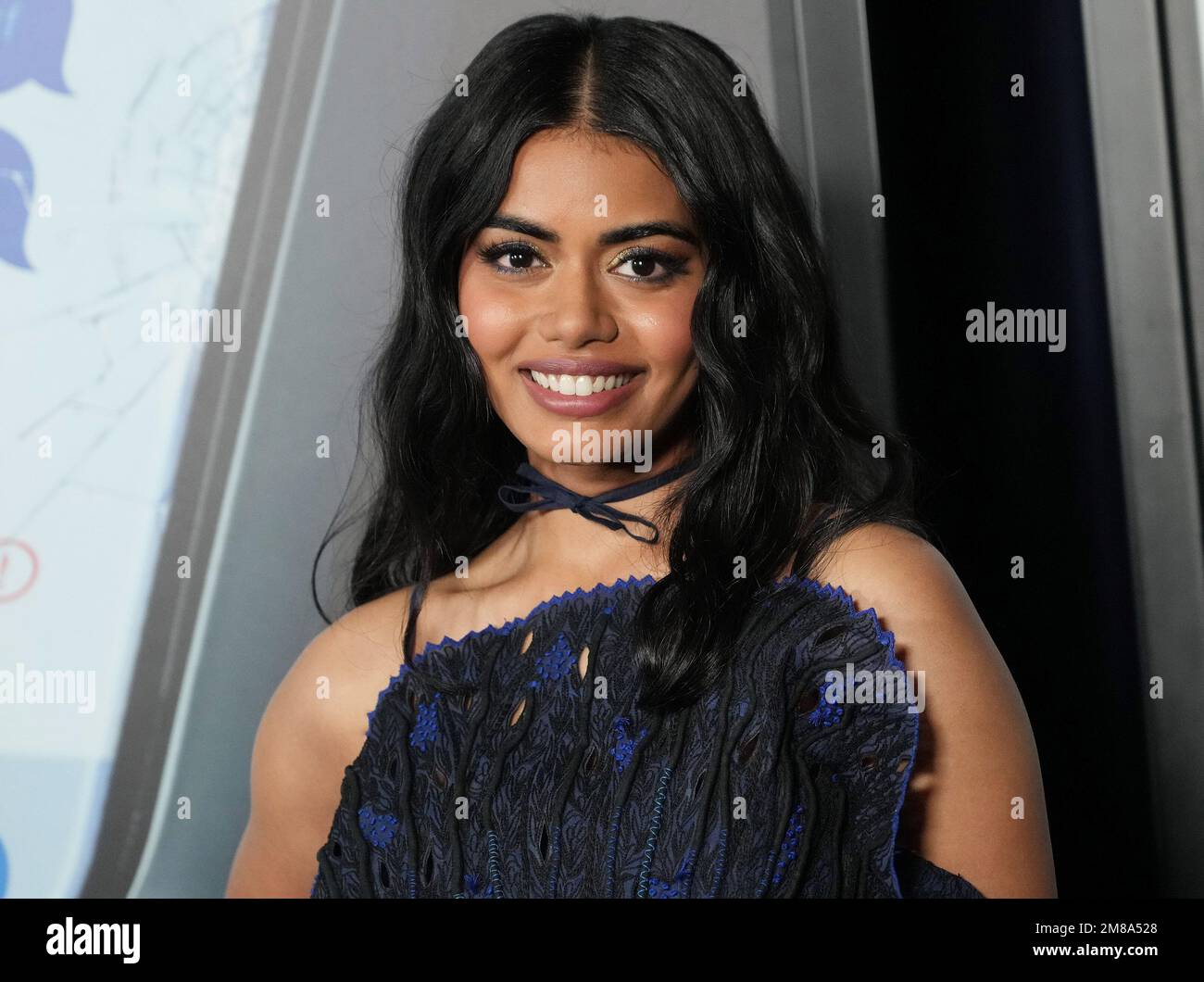 Los Angeles, USA. 12th Jan, 2023. Megan Suri arrives at the MISSING Los ...