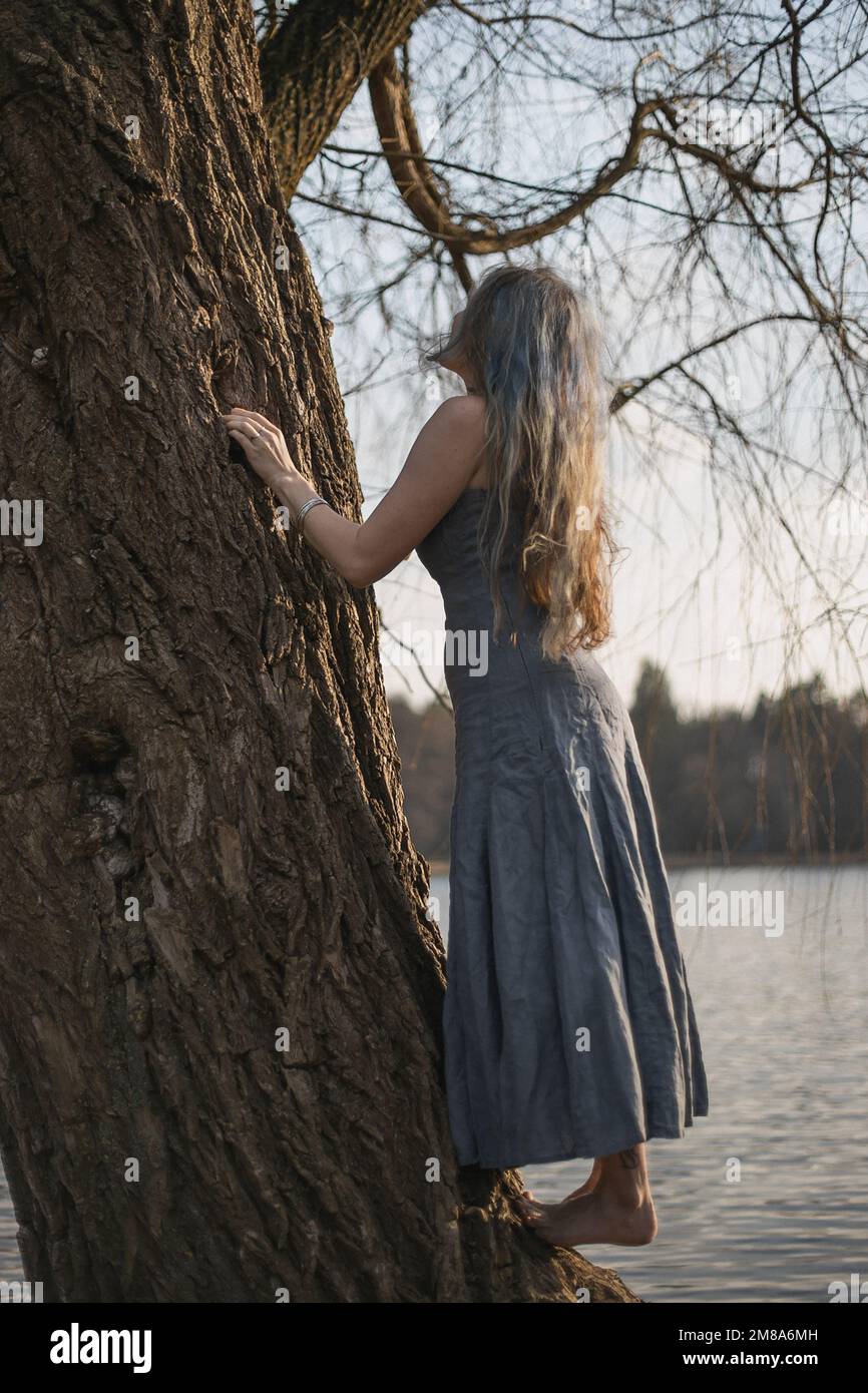 Lady climbing willow tree scenic photography Stock Photo - Alamy