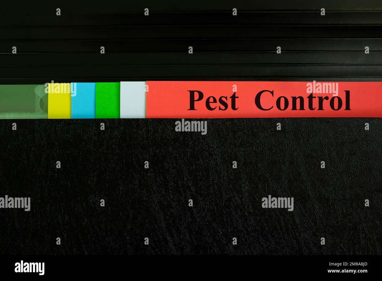 Hand picking pest control file record in black binder folder. Pest ...