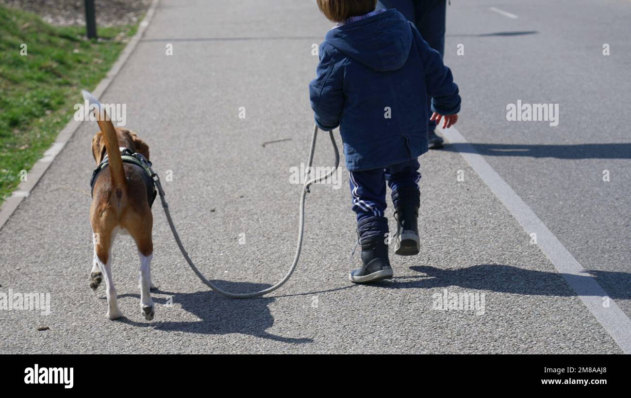Human On Leash