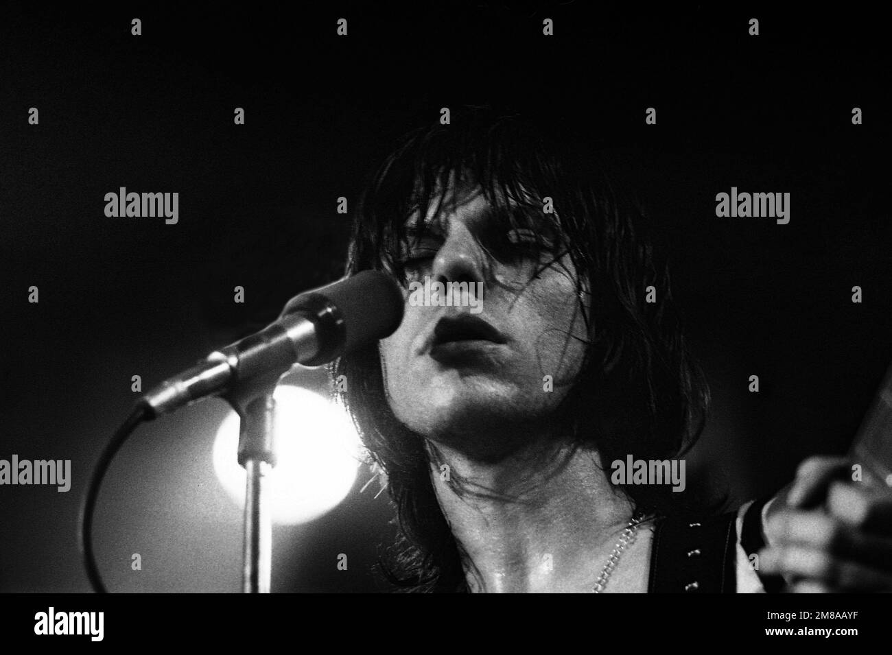 Philippe Gras / Le Pictorium - Jeff Beck concert - 9/3/2013 - France ...