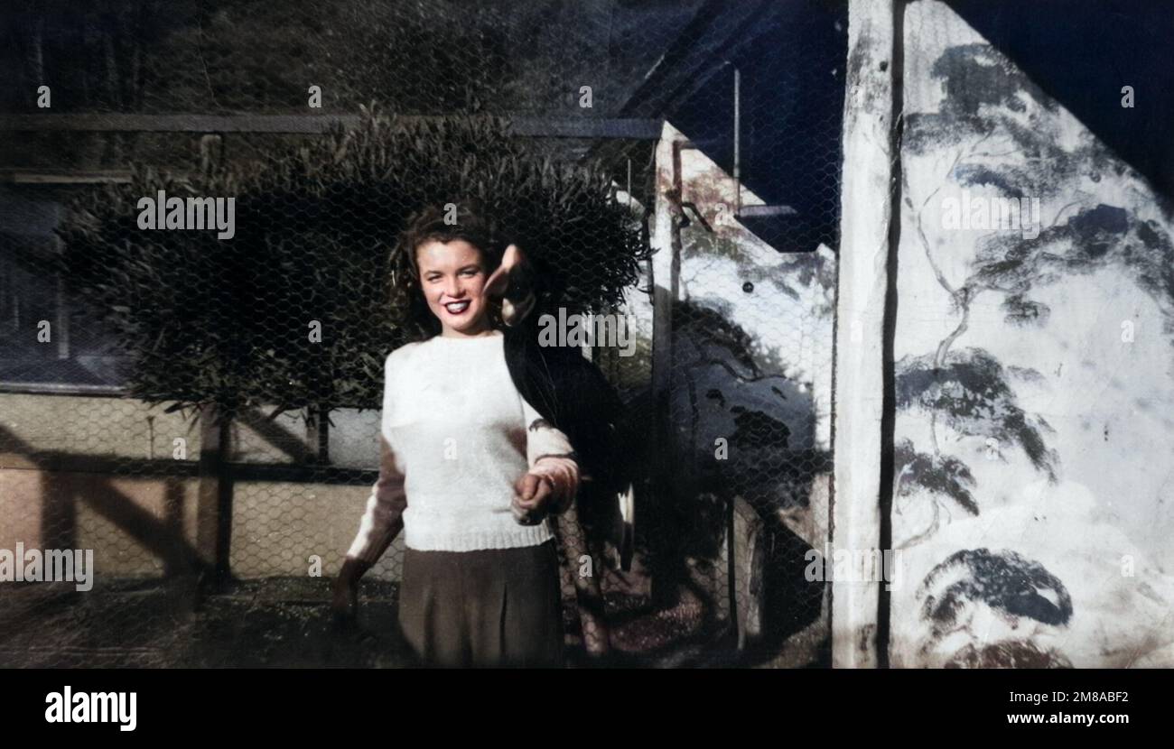 Marilyn Monroe photograph, taken at Wrigley's Bird Park, 1944 ...