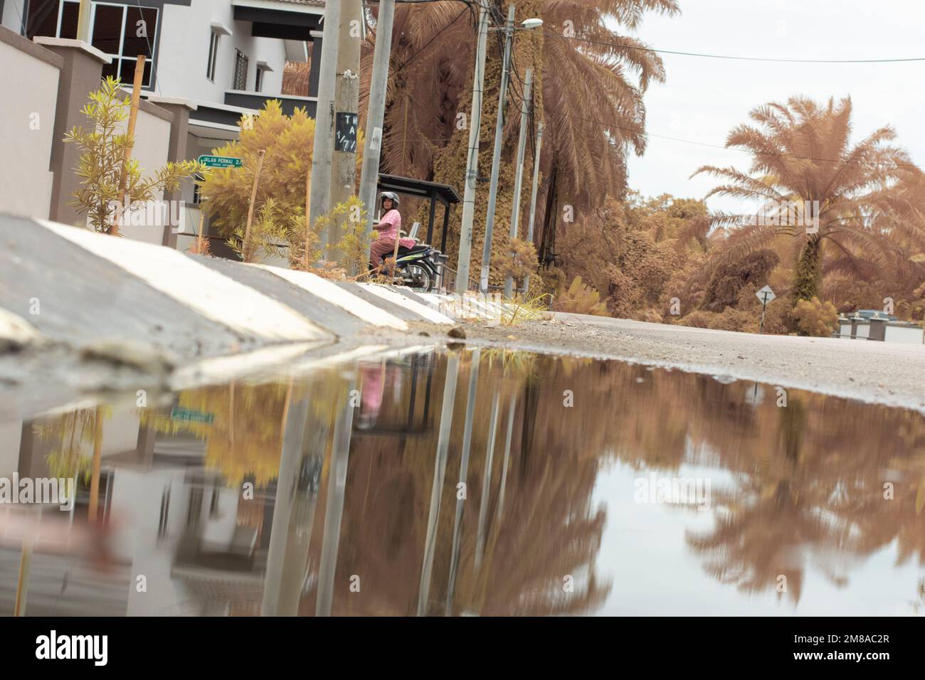 Scene of the stagnant pool of water after rain around the suburb ...