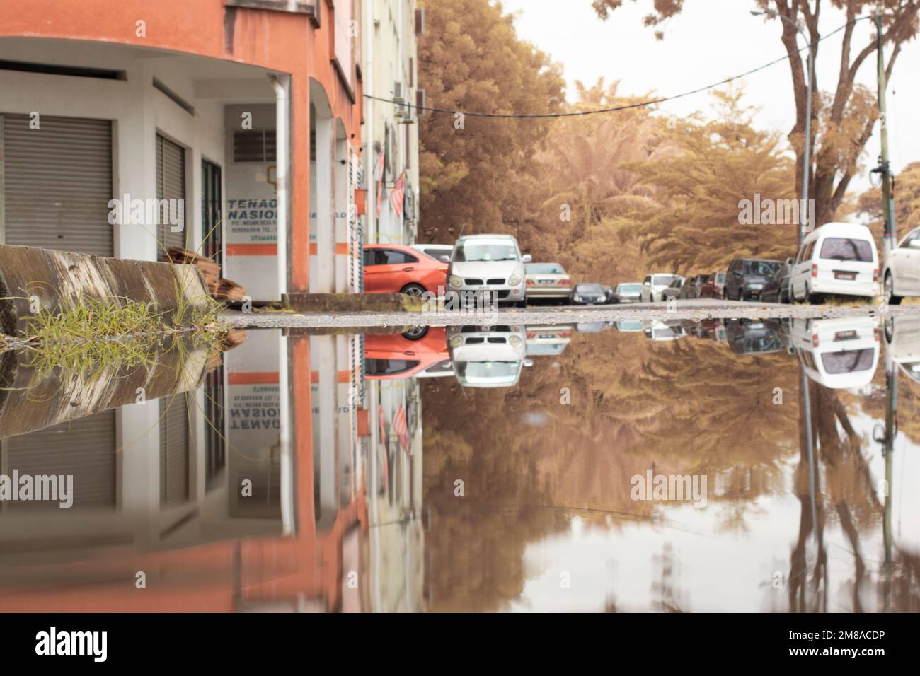 Scene of the stagnant pool of water after rain around the suburb ...