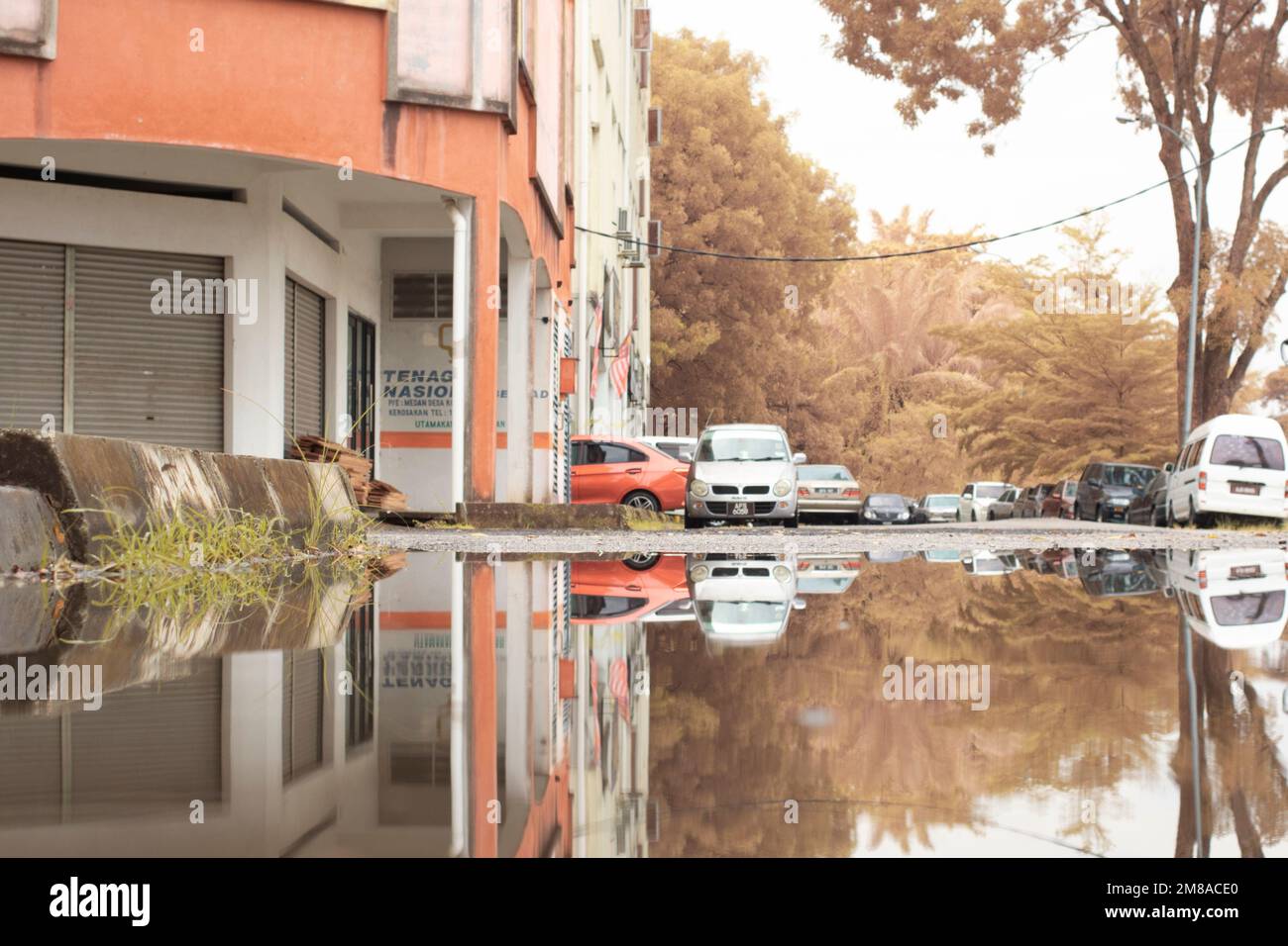 Scene of the stagnant pool of water after rain around the suburb ...