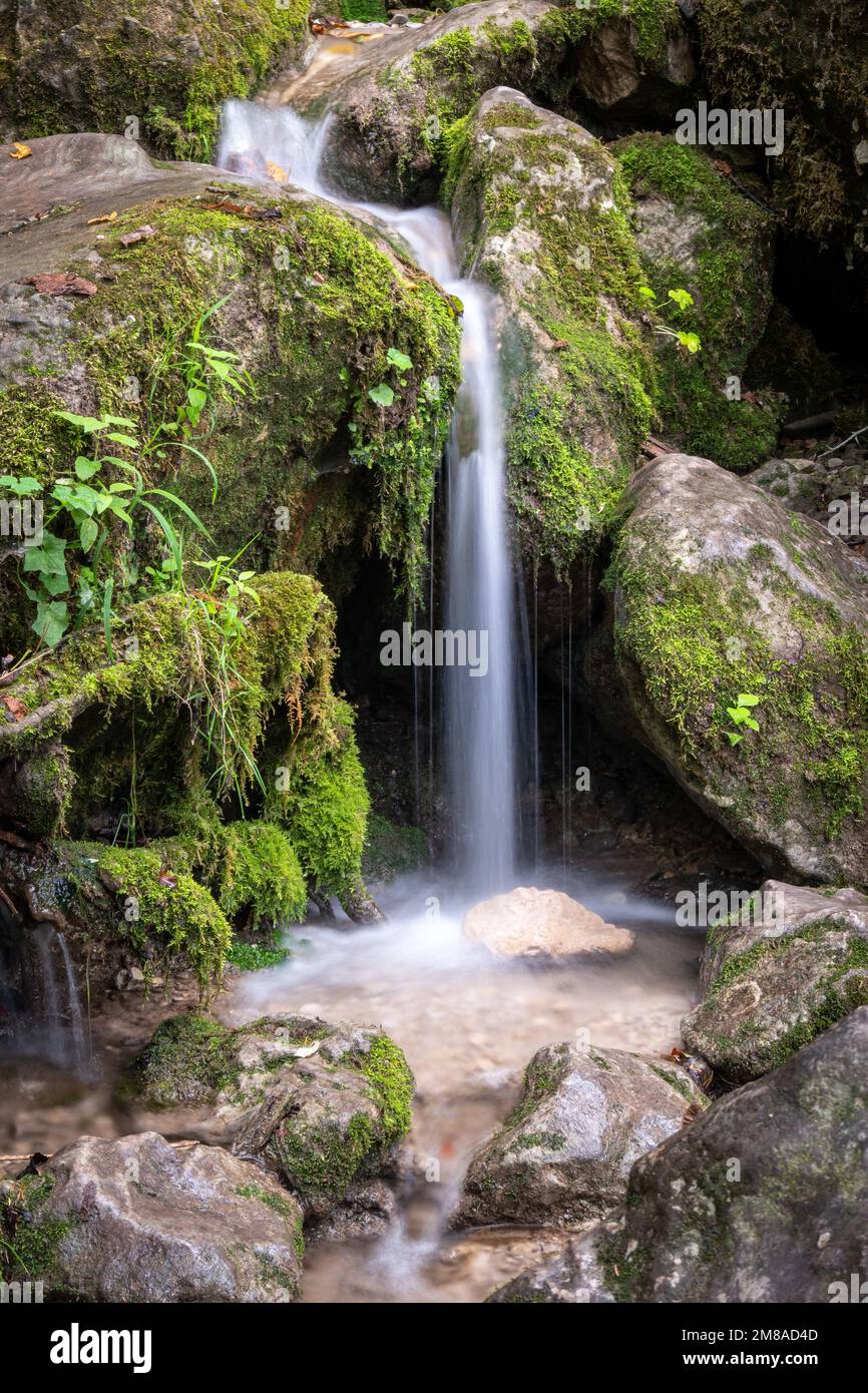 Charming view of scenic Myra Waterfalls in Muggendorf, Austria Stock ... Charming view of scenic Myra Waterfalls in Muggendorf, Austria Stock ...