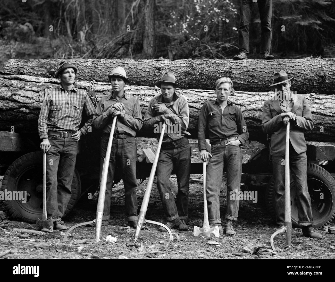 RIVETED: THE HISTORY OF JEANS (2022), directed by ANNA LEE STRACHAN and ...