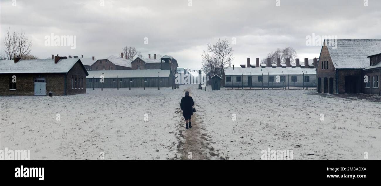 SIMONE: WOMAN OF THE CENTURY (2022) -Original title: SIMONE, LE VOYAGE ...