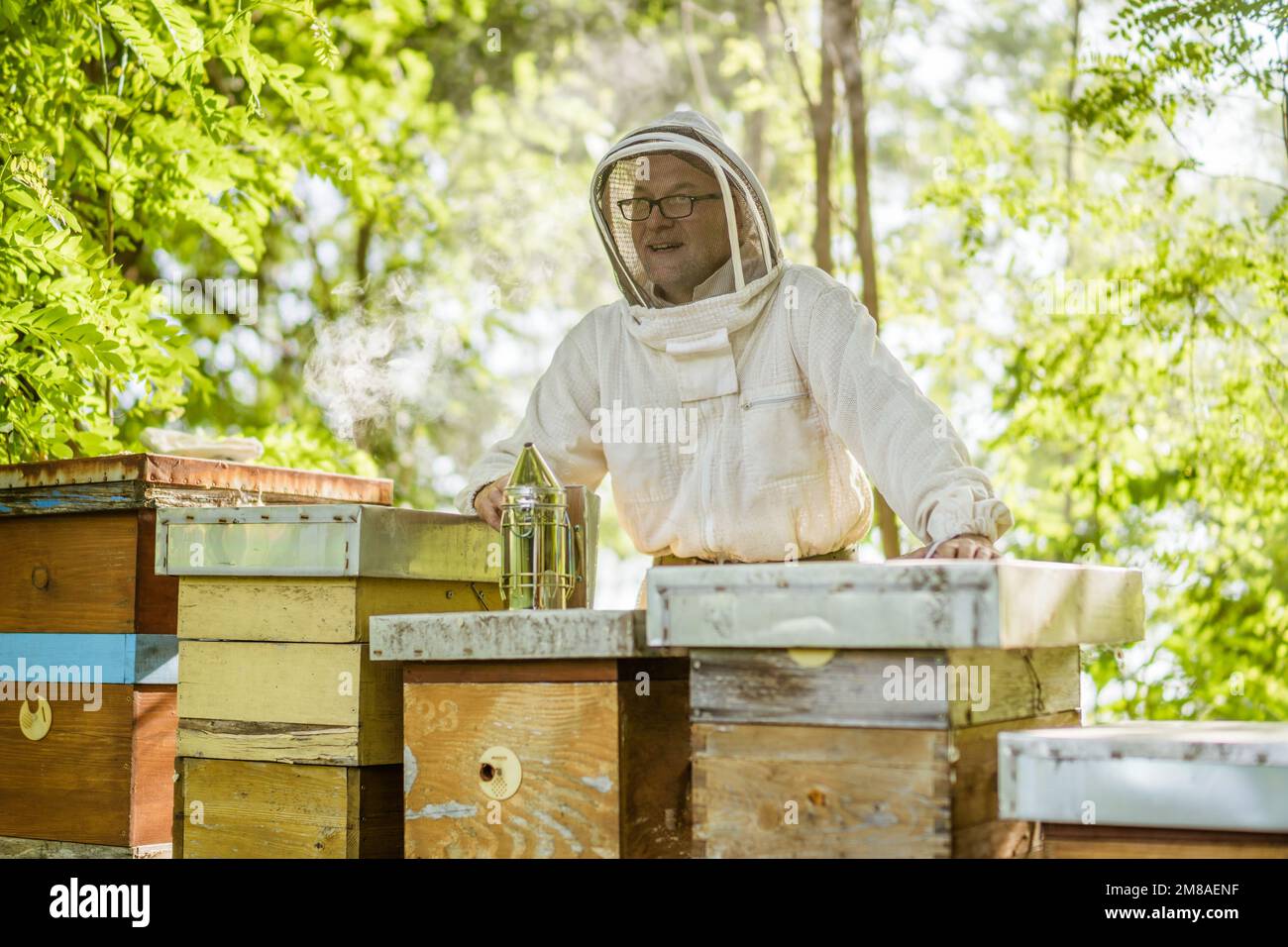Portrait of beekeeper with his beehives in forest. Beekeeping ...