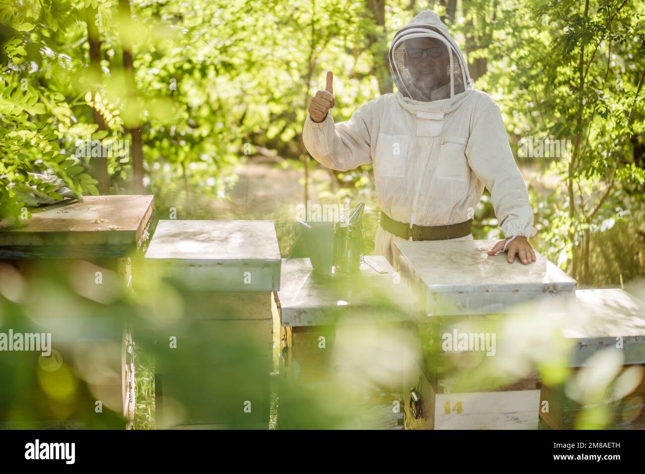 Portrait of beekeeper with his beehives in forest. Beekeeping ...