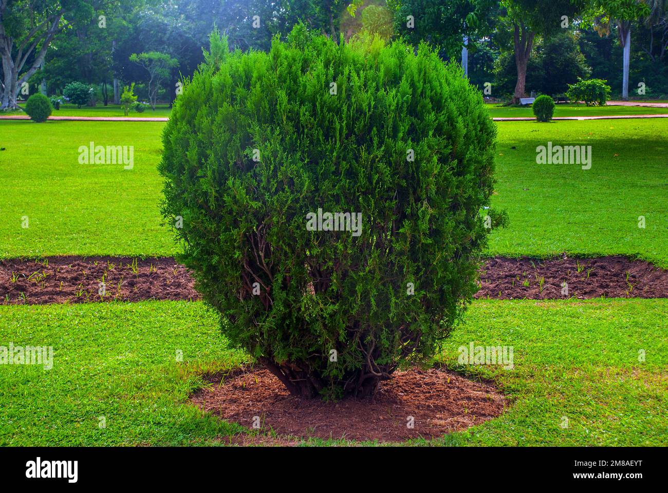 Tippu sultan palace hi-res stock photography and images - Alamy
